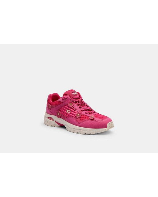 COACH C301 Sneaker With Tea Rose in Black | Lyst