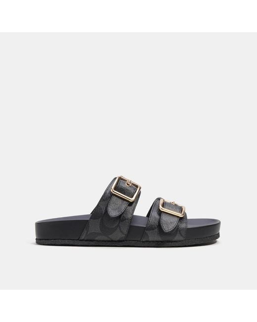 COACH Allanah Sandal In Signature Canvas in Black | Lyst