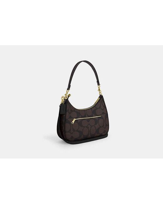 COACH Teri Hobo Bag In Blocked Signature Canvas in Black | Lyst