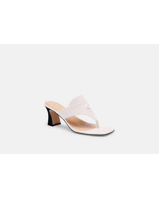 COACH Bree Sandal in Black | Lyst