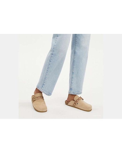 COACH Ashton Clog In Signature Jacquard in Black | Lyst