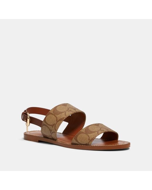 COACH Henny Sandal in Brown | Lyst