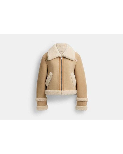 COACH Short Shearling Jacket in Black | Lyst