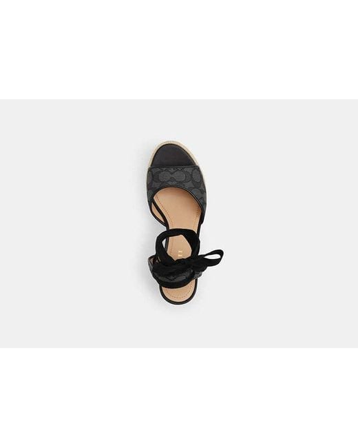 COACH Patrice Espadrille In Signature Jacquard in Black | Lyst