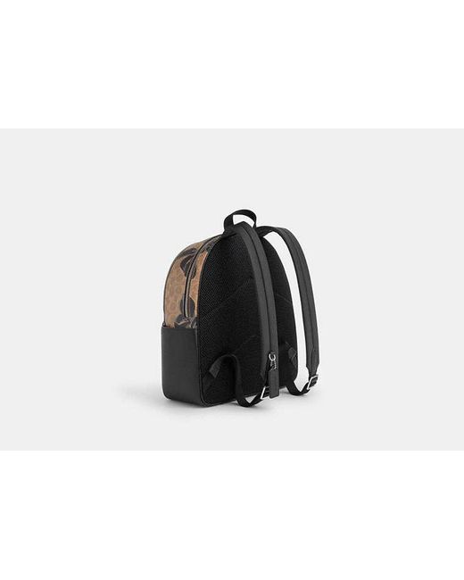 COACH Court Backpack In Signature Canvas With Bow Print in Black | Lyst