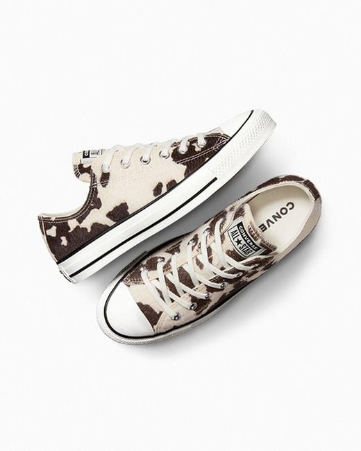 Converse Chuck Taylor All Star Cow Print Pony Hair in White | Lyst UK