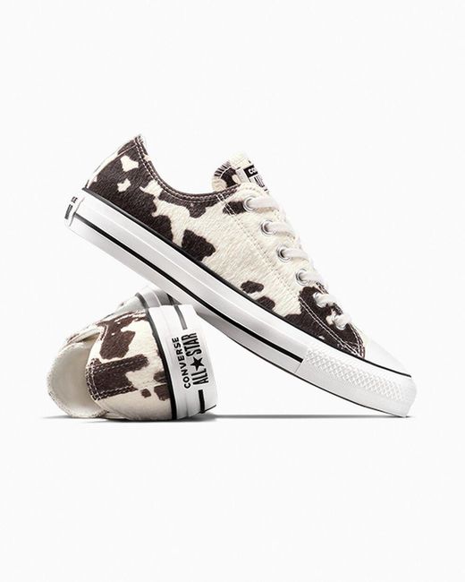 Converse Chuck Taylor All Star Cow Print Pony Hair in White | Lyst UK