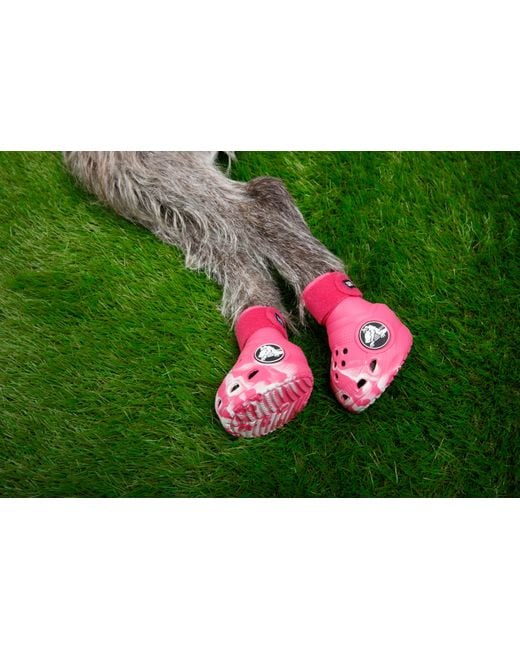 Crocs™ Pet Boots in Pink | Lyst UK