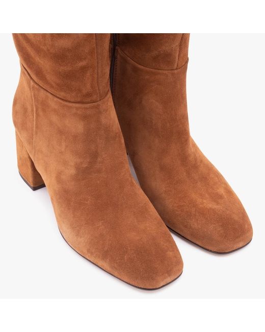 Daniel Lancey Tan Suede Block Heel Knee Boots in Brown | Lyst
