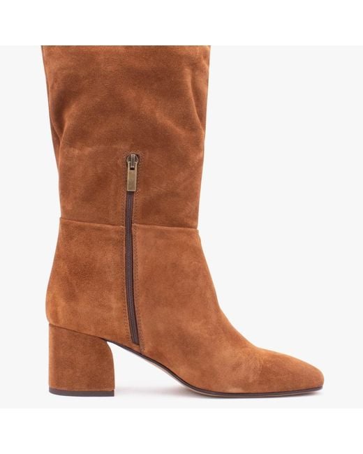 Daniel Lancey Tan Suede Block Heel Knee Boots in Brown | Lyst