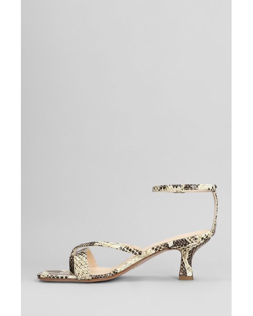 Anna F. Sandals In Python Print Leather | Lyst