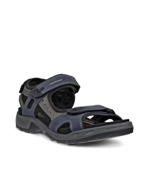 Ecco Yucatan River Sport Sandal in Black for Men | Lyst