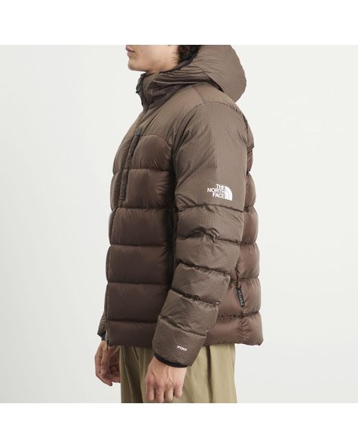 The North Face Hke Kalix Down Hooded Jacket in Brown for Men | Lyst UK