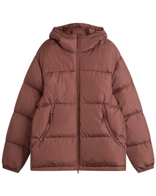 Hiking Patrol Element Down Jacket in Brown for Men | Lyst UK