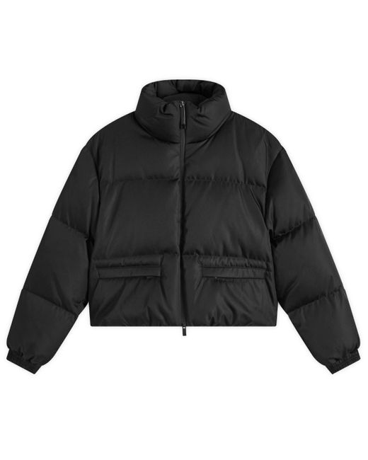 Moncler Vissec Short Padded Jacket in Black | Lyst