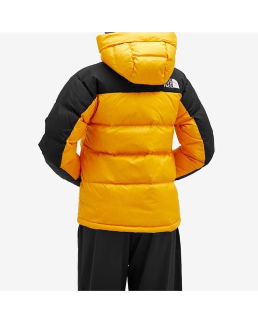 The North Face Hmlyn Down Parka Jacket in Yellow | Lyst