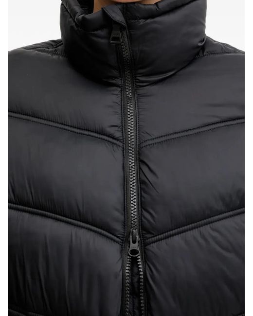 Napapijri Ega Short Padded Jacket in Black | Lyst UK