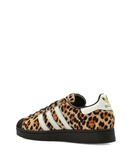 adidas Superstar Ii Leopard-Print Sneakers in Brown | Lyst UK