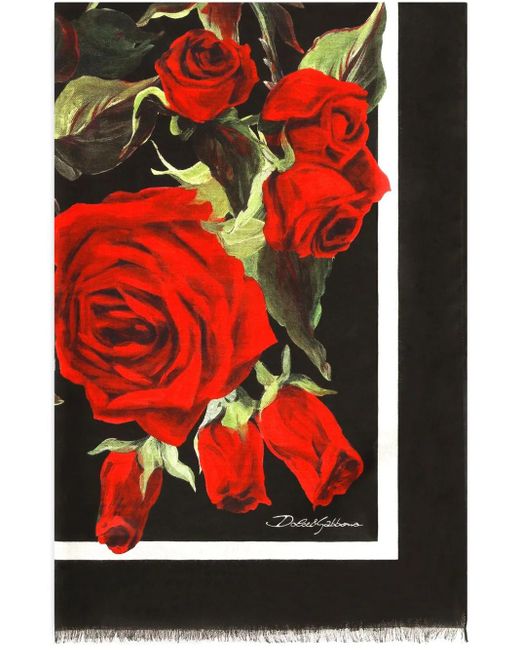 Dolce & Gabbana Rose-Print Frayed Silk Scarf in Red | Lyst