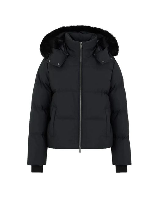 Moose Knuckles Misti Puffer Coat in Black for Men | Lyst UK