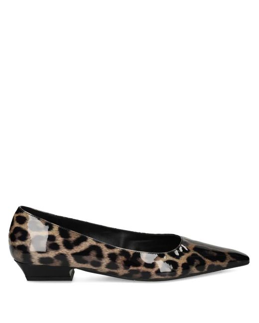 Ras Leopard-print Pointed-toe Pumps in Black | Lyst