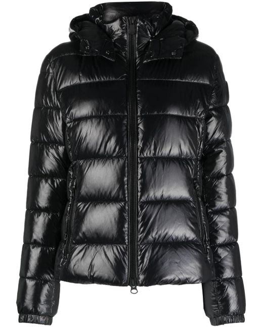 Save The Duck Cosmary Hooded Puffer Jacket in Black | Lyst Save The Duck Cosmary Hooded Puffer Jacket in Black | Lyst
