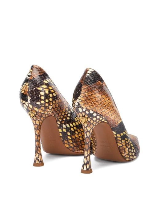 Roberto Cavalli Snake-Embossed High-Heel Pumps in Brown | Lyst