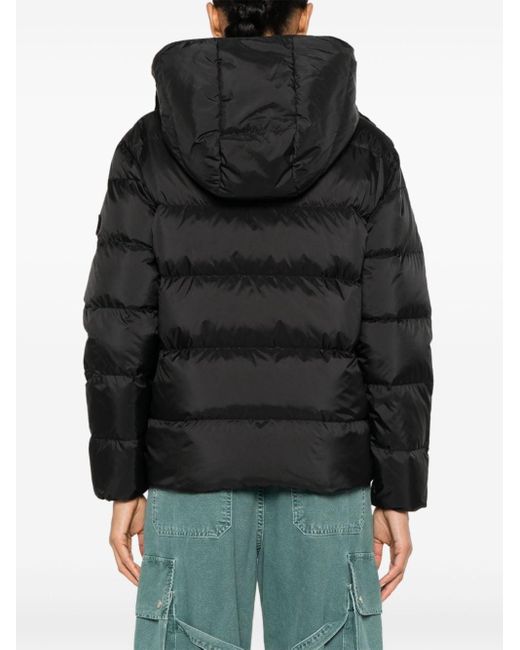 Twin Set Logo-Patch Padded Jacket in Black | Lyst