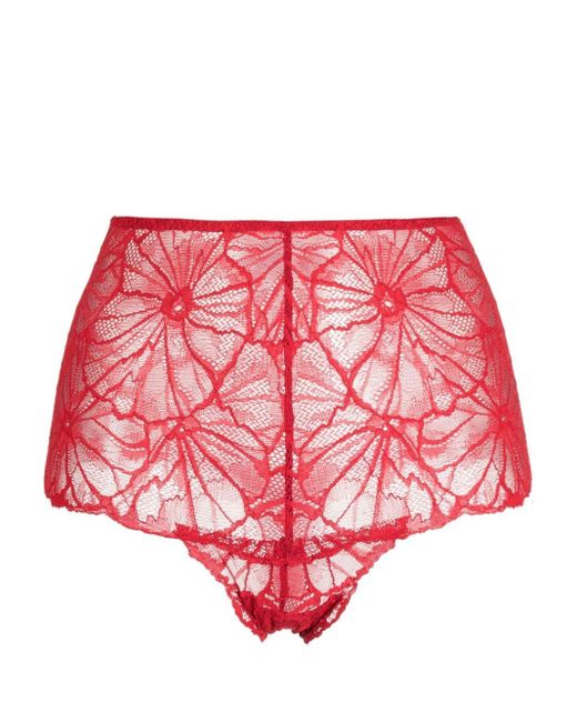 Dora Larsen Constance Graphic-lace Briefs in Red | Lyst
