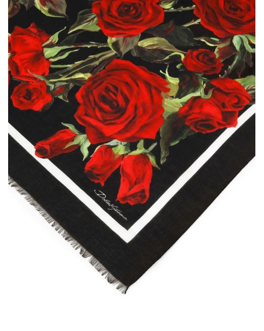 Dolce & Gabbana Rose-Print Frayed Silk Scarf in Red | Lyst