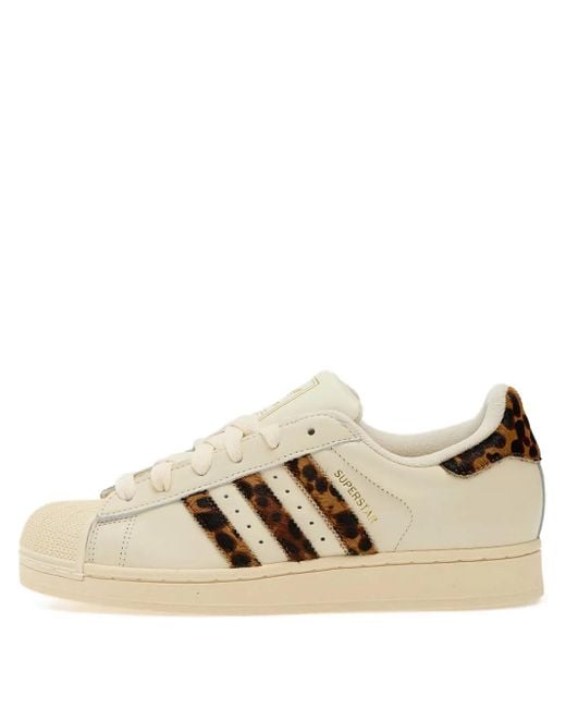 adidas Leopard-Print Superstar Trainers in Natural | Lyst UK