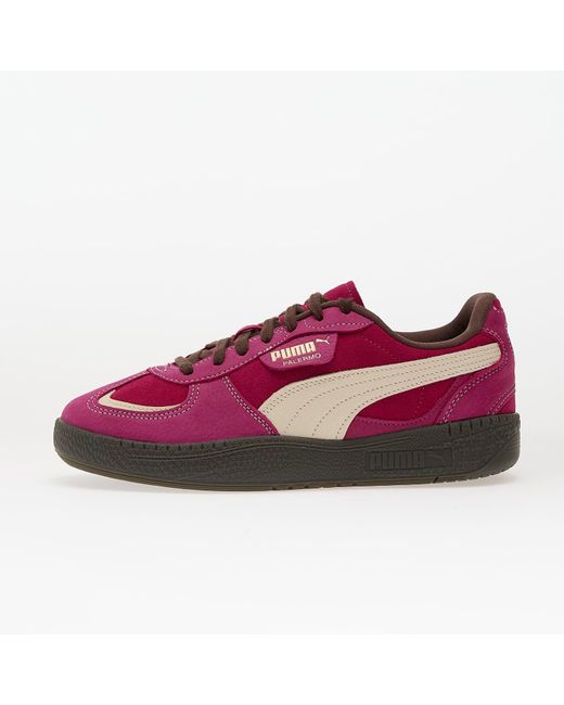 PUMA Sneakers Palermo Moda Wine Club Wns in Red | Lyst