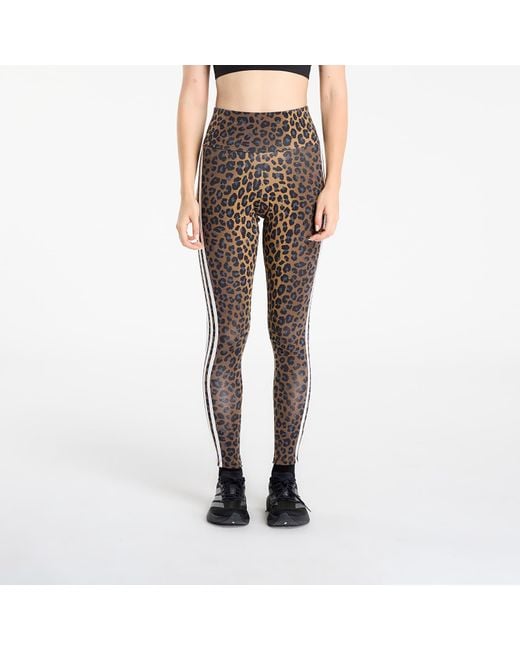 adidas pants leopard
