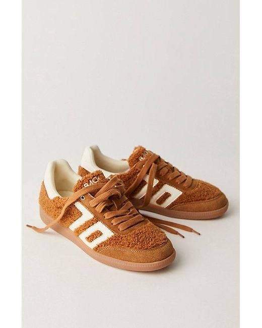 Back 70 Teddy Sneakers in Brown | Lyst
