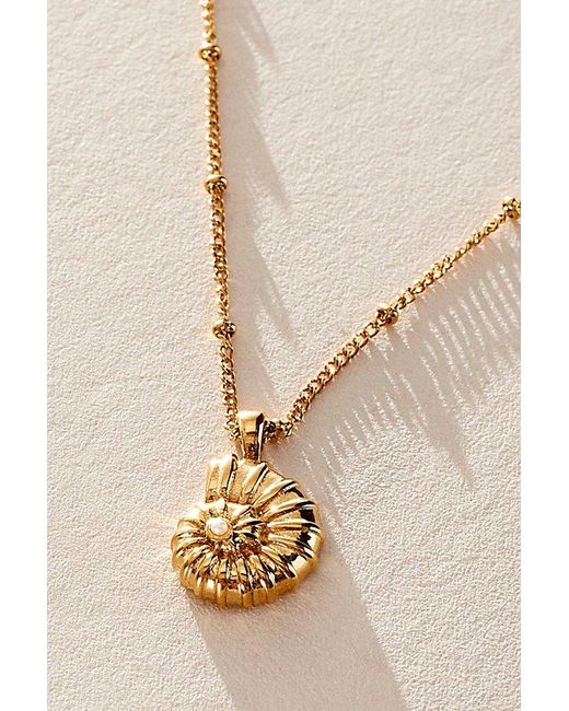 The Crystal Boutique Tcb Shell Necklace in Natural | Lyst