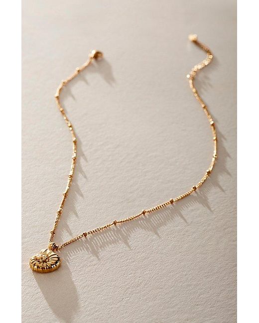 The Crystal Boutique Shell Necklace in Natural | Lyst