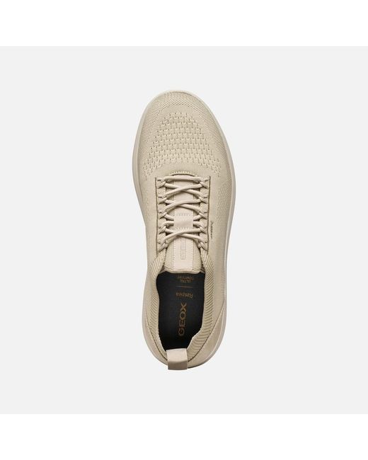 Geox Spherica in Natural for Men | Lyst UK
