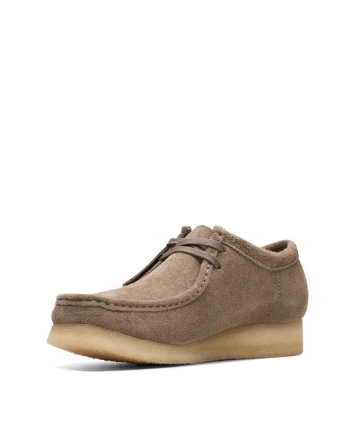 Clarks Wallabee Shoes Size 6 in Brown for Men | Lyst UK