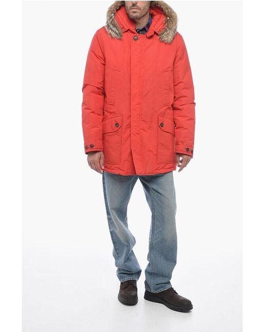 Woolrich Daytona Parka Jacket With Real Coyote Fur in Red for Men | Lyst UK