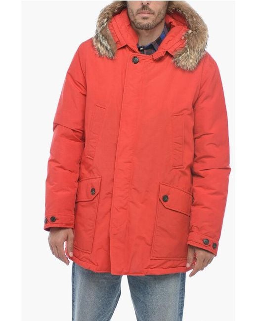 Woolrich Daytona Parka Jacket With Real Coyote Fur in Red for Men | Lyst UK