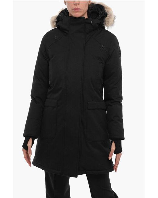 Nobis Merideth Parka With Removable Coyote Fur in Black | Lyst UK
