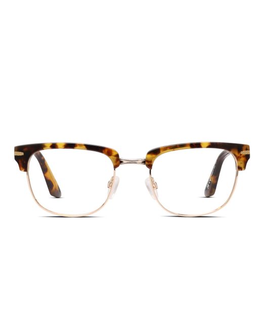 Serengeti Denzel Tortoise in Black | Lyst