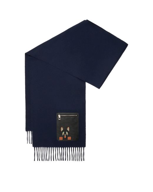 Loewe X Louis Wain Wool-Cashmere Pocket-Detail Scarf in Blue | Lyst UK