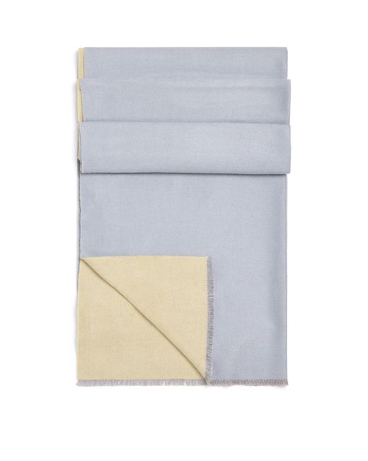 MAX&Co. Double-Faced Stole in Blue | Lyst