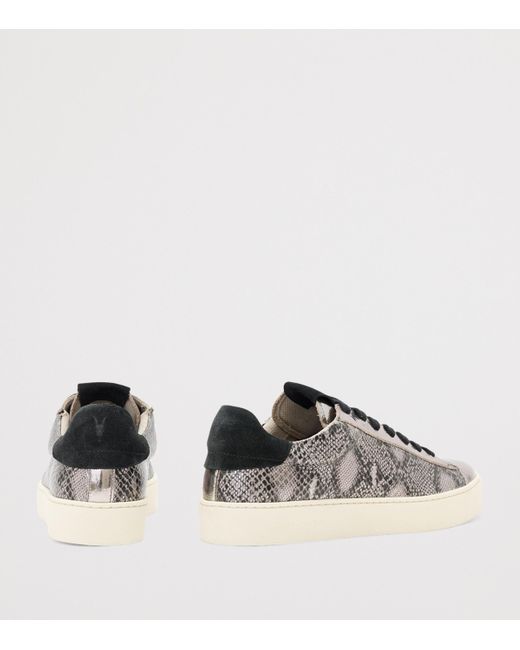 AllSaints Leather Snake-Effect Shana Sneakers in Gray | Lyst