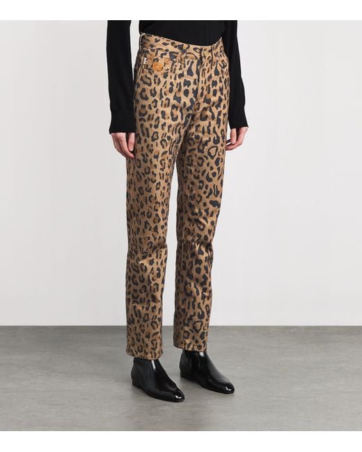 Blazé Milano Simba Leopard Print High-Rise Jeans in Brown | Lyst