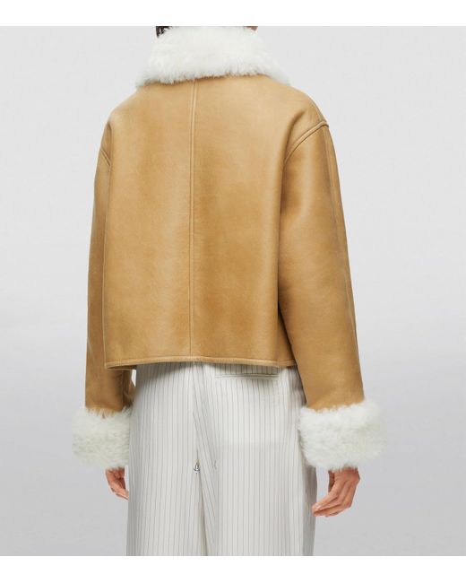 Loewe Shearling-Trim Leather Jacket in Natural | Lyst