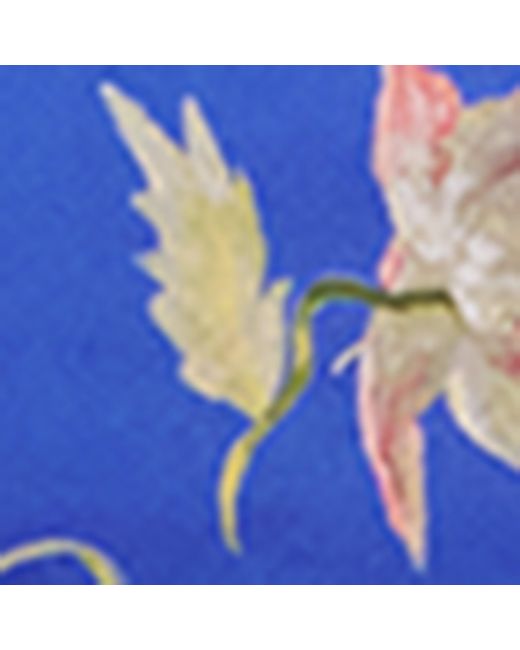 Carolina Herrera Poppy Print Sleeveless Midi Dress in Blue | Lyst UK