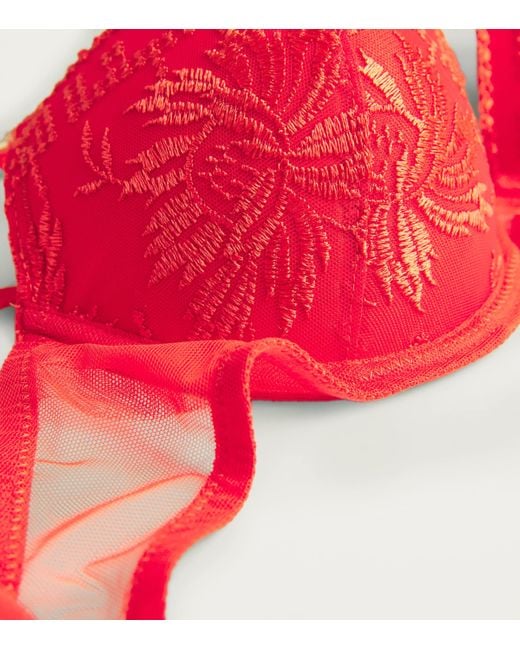 Aubade Moulded Plunge Bra in Red | Lyst