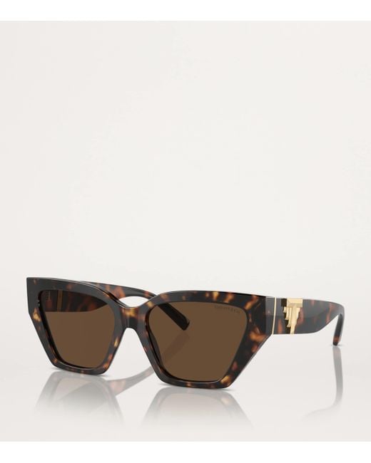 Tiffany & Co. Acetate Tf4218 Sunglasses in Brown | Lyst
